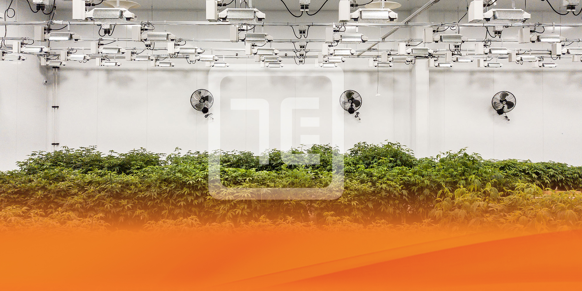 Cultivation Services - Tri-City Electric